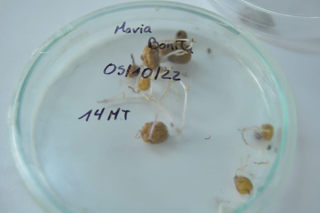 Cayapa Heroica garantiza soporte técnico de equipos para la ...