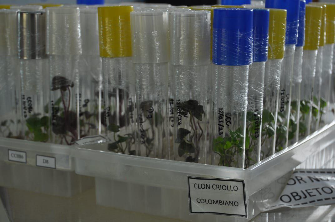 Cayapa Heroica garantiza soporte técnico de equipos para la ...